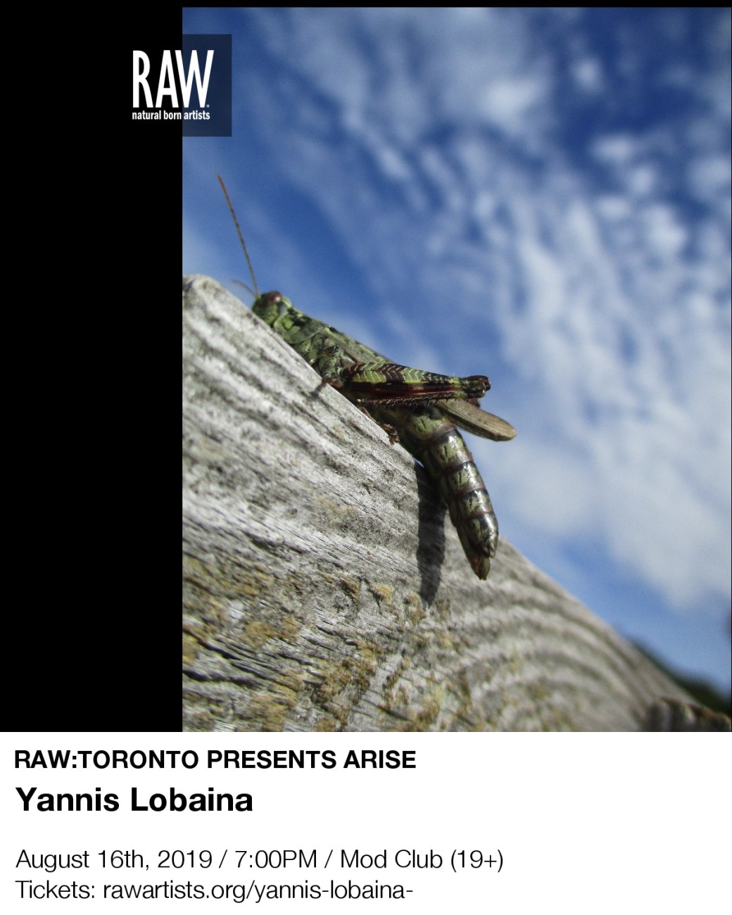 “Rebirth” Mi primera serie fotografíca en Toronto. – YANNIS LOBAINA