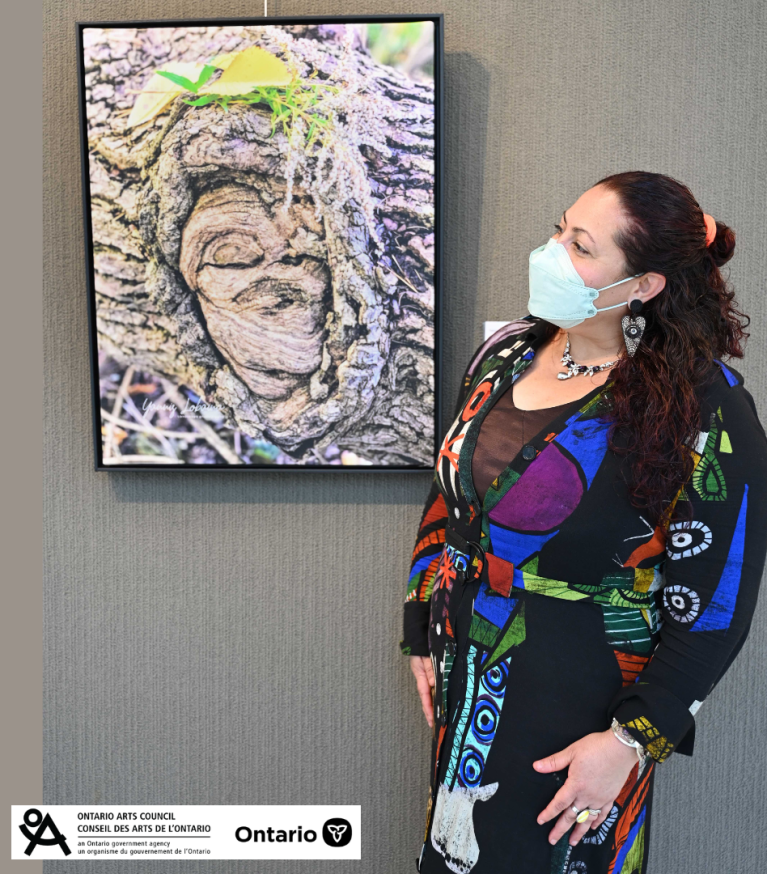 Cómo surgió la bitácora En la red del tiempo, de Yannis Lobaina ...